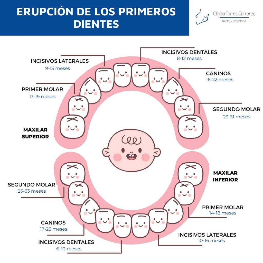 Síntomas de los primeros dientes de un bebé | Torres Carranza